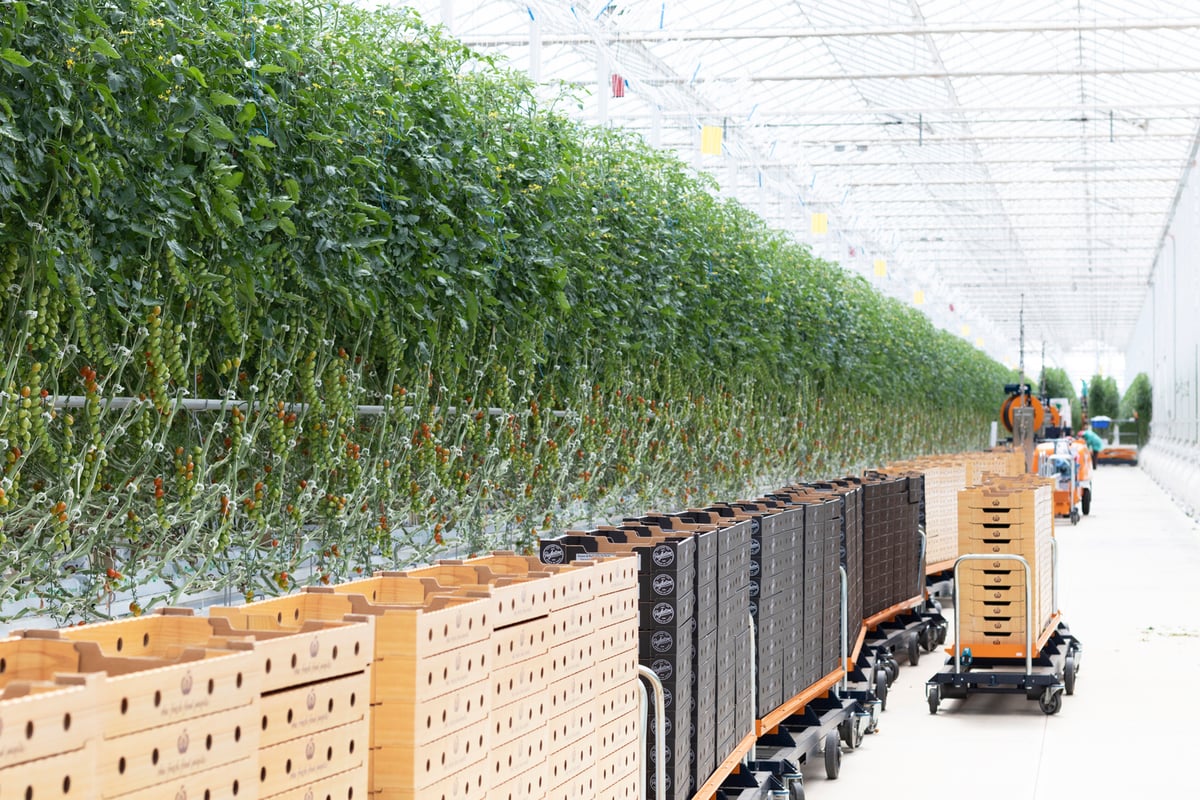 The Benefits of Glasshouse Grown Food | Perfection Fresh Australia.